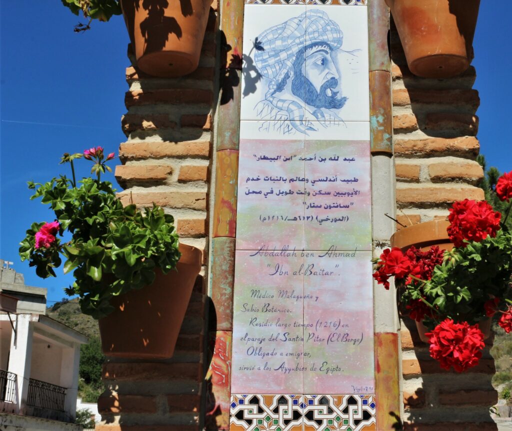 El Borge best things to see and do - Andaluciamia