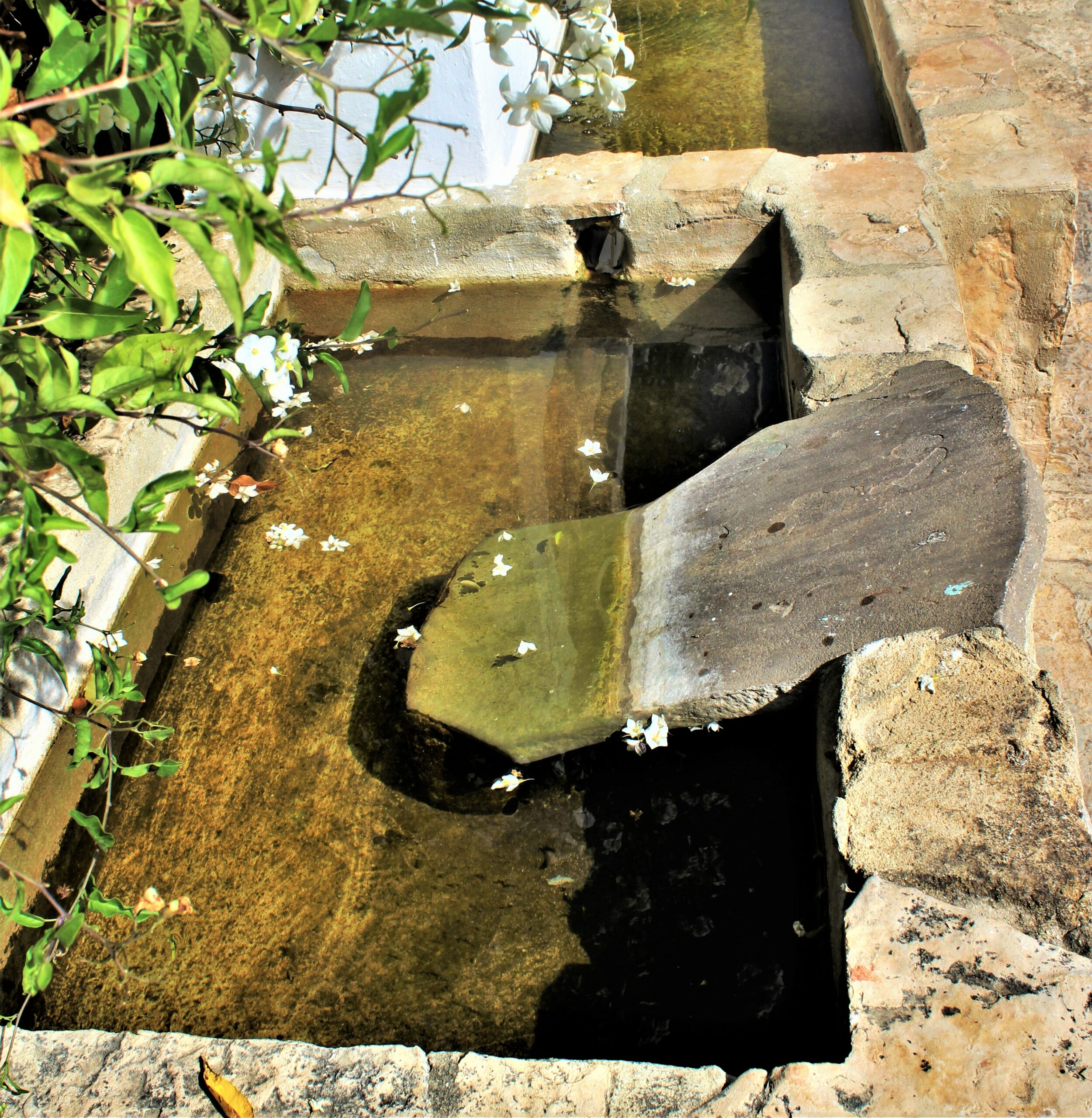 Periana best things to see and do - Andaluciamia