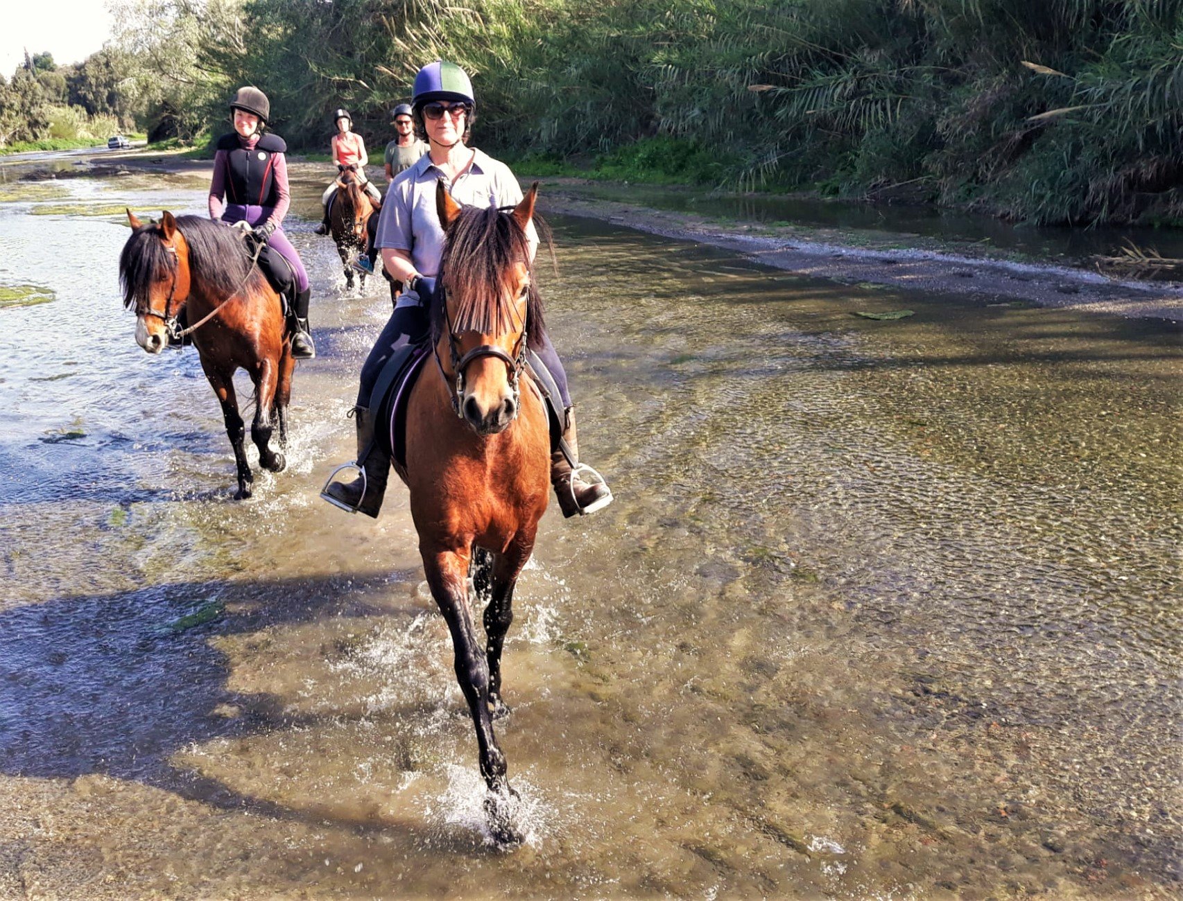 Balade à cheval sur la plage en Andalousie - Andaluciamia