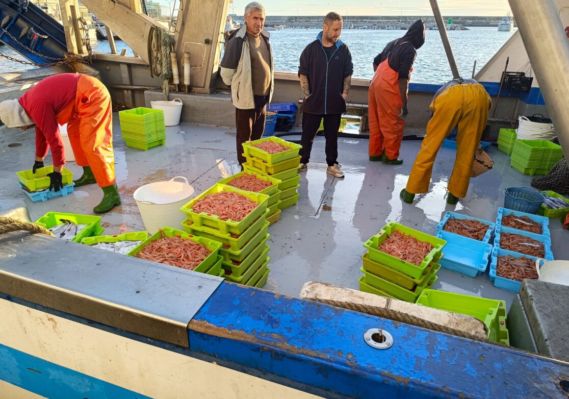 Cosa fare a Motril? Visitare la Lonja e assistere all'asta del pesce